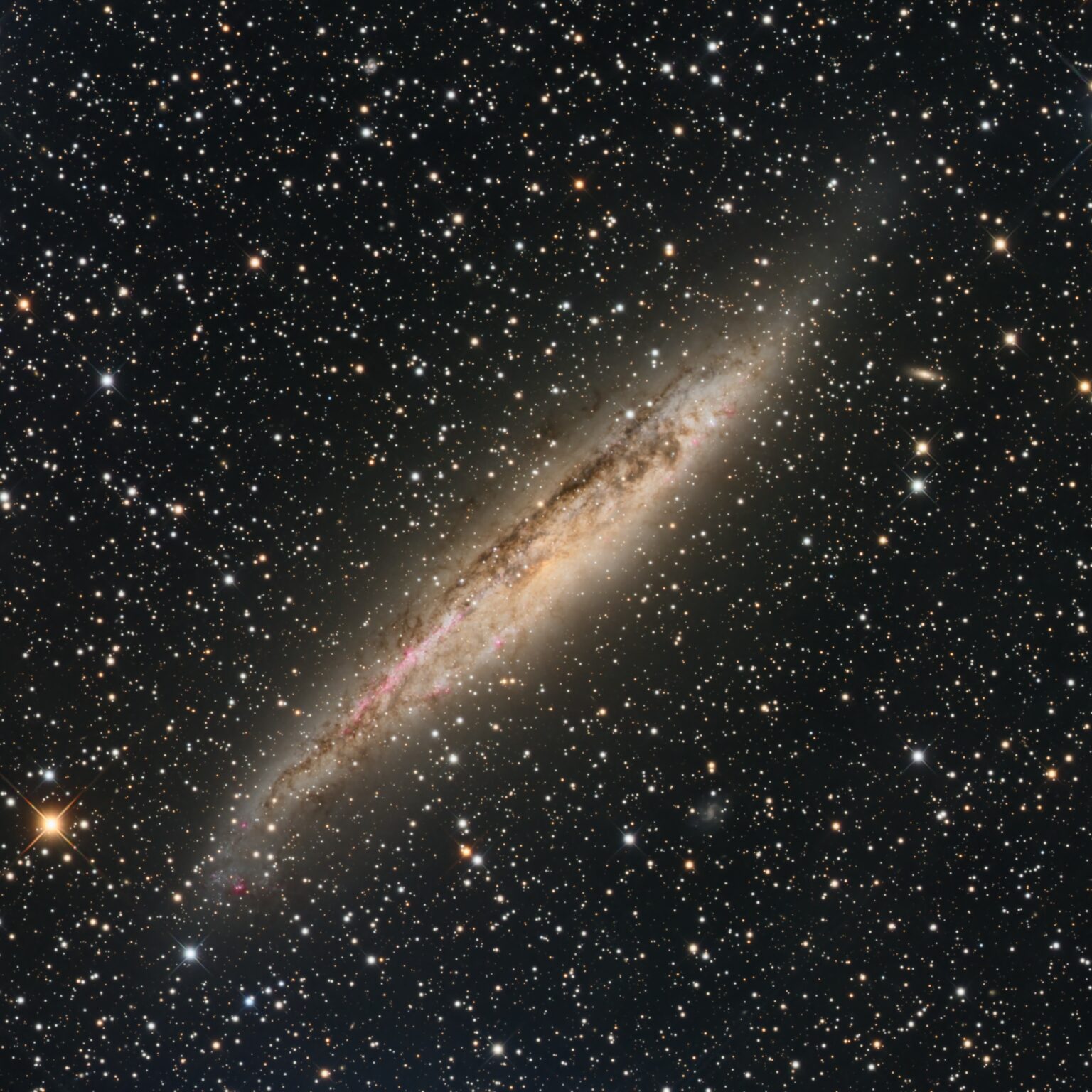 埃まみれの棒渦巻銀河 – NGC 4945 | たのしい天体観測